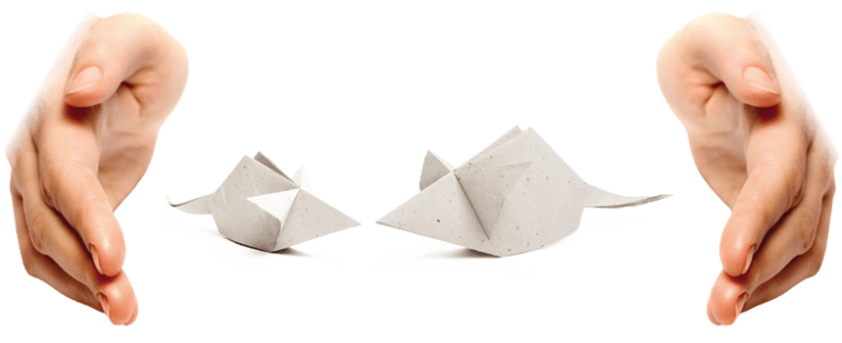 Ekomille Z - Ekomille